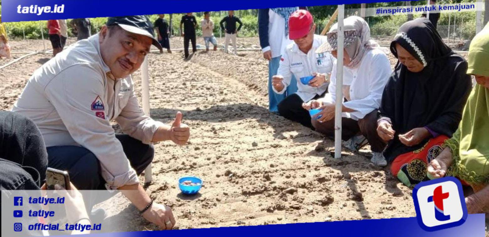 Ketua Dekab dan Bupati Bonebol Tinjau Aktivitas Pertanian di Desa Bilungala, Bone Pantai - Tatiye.id